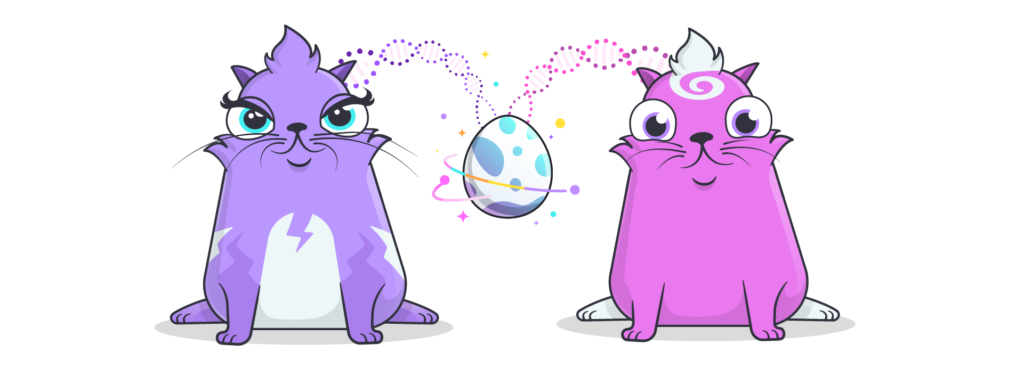 Cryptokitties Clone - Betelgeuse Technology in Chennai Cryptokitties Clone - Betelgeuse Technology in Chennai